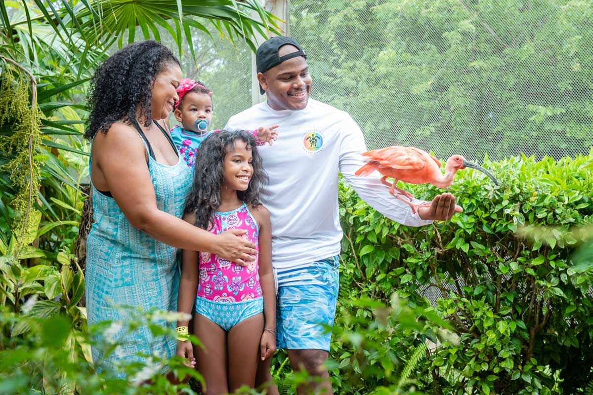 Bird Hand-feeding & Keeper Talks - Cayman Turtle Centre
